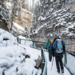 Lake Louise, Peyto Lake, Johnston Canyon & Icefields Parkway - Key Points