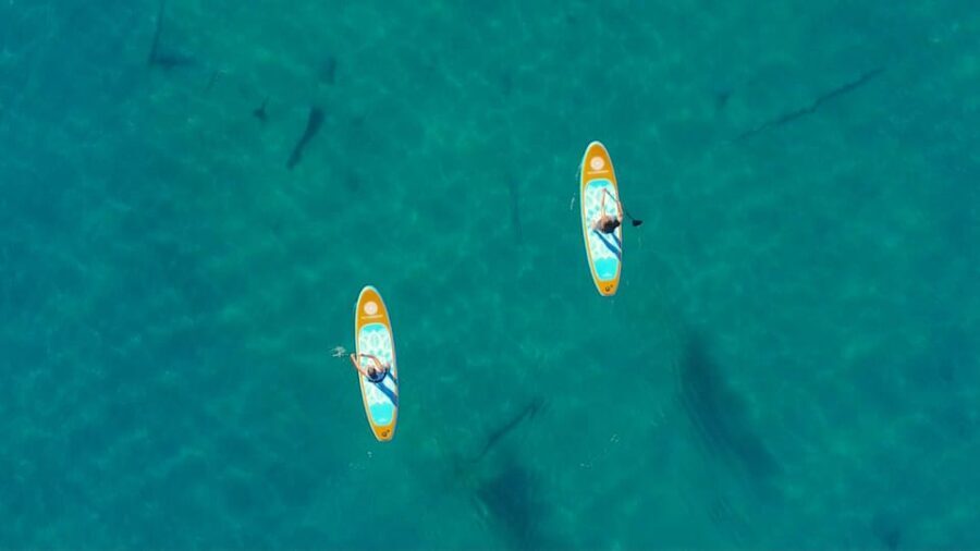 Lake Mead Paddle Board Tour (Private) - The Value of the Experience