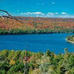 Lake Muskoka and Algonquin Small Group 1-Day Tour From Toronto - What the Tour Includes and What It Doesn’t