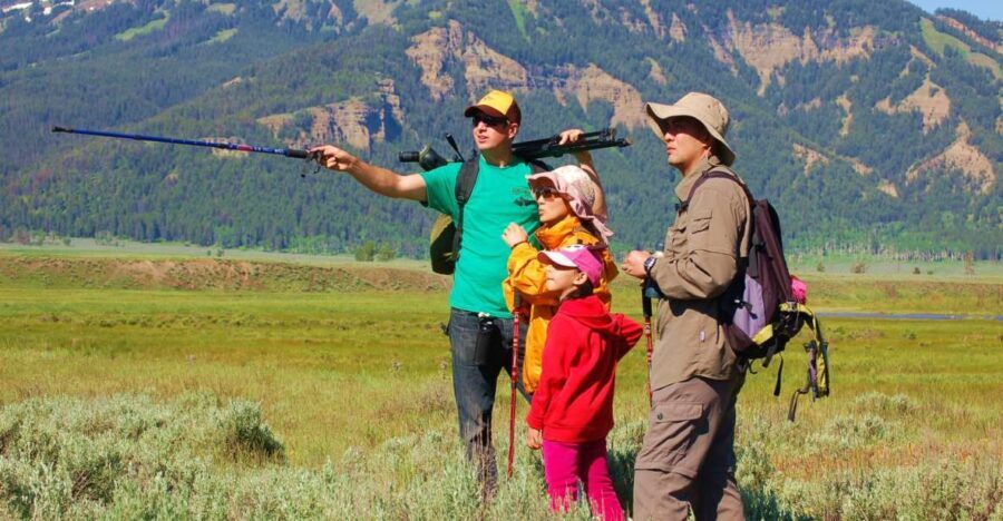 Lamar Valley: Safari Hiking Tour with Lunch - The Experience: Quality and Value