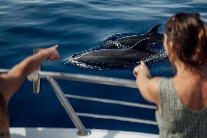 Lana'i Snorkel And Dolphin Quest with Maui Turtle Spot Tour - What to Expect on This Maui and Lana’i Marine Adventure