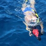 Lanai Snorkeling Half Day with Sea Scooter - Authentic Insights from Reviews