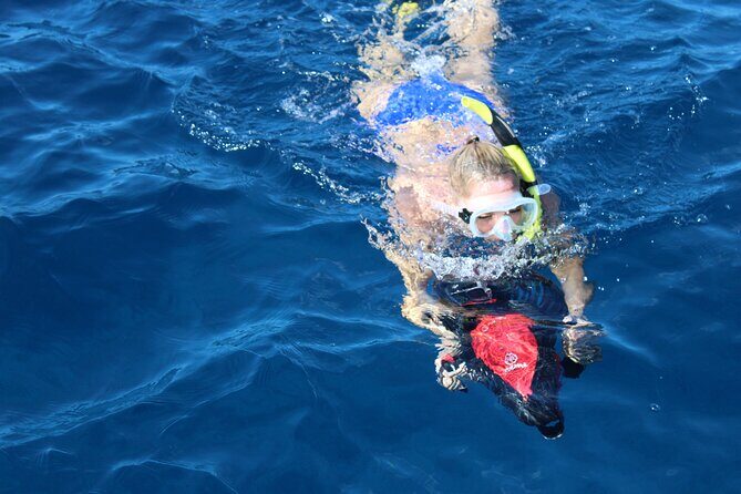 Lanai Snorkeling Half Day with Sea Scooter - Authentic Insights from Reviews