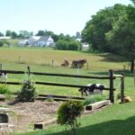 Lancaster: Amish Experience Visit-in-Person Tour of 3 Farms - The Sum Up: Is It Worth It?