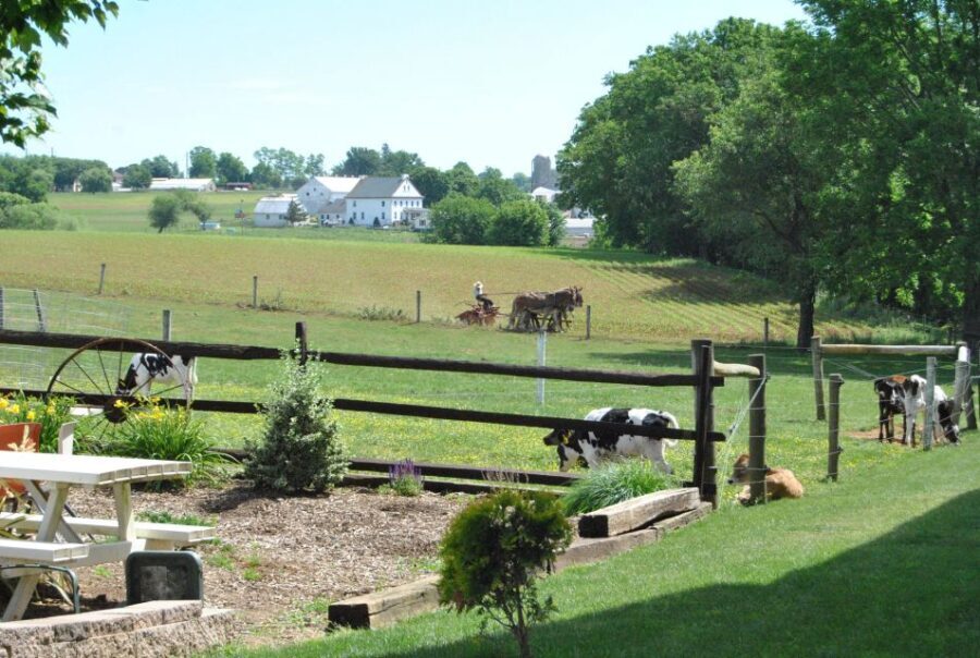 Lancaster: Amish Experience Visit-in-Person Tour of 3 Farms - The Sum Up: Is It Worth It?