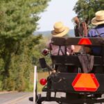 Lancaster County: Amish Farmlands, Museum Tour, Farm Visit - Key Points