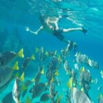 Land's End & Snorkel Tour in a Glass Bottom Boat (VisitA Cabo) - Who Is This Tour Best For?