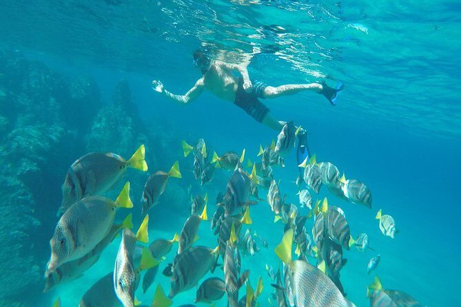 Land's End & Snorkel Tour in a Glass Bottom Boat (VisitA Cabo) - Who Is This Tour Best For?