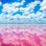 Las Coloradas - Whats Included and Whats Not