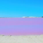 Las Coloradas Amazing Pink Lake & Rio Lagartos from Tulum - Authentic, Family-Friendly Adventure