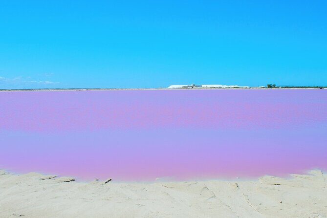 Las Coloradas Amazing Pink Lake & Rio Lagartos from Tulum - Authentic, Family-Friendly Adventure