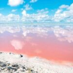 Las Coloradas and Rio Lagartos Day Tour from Cancun - Practical Tips for Travelers
