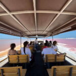 Las Coloradas: Pink Lakes Safari Tour - What Makes This Tour Special