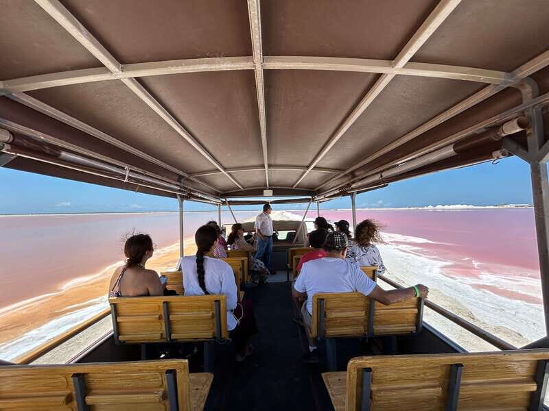 Las Coloradas: Pink Lakes Safari Tour - What Makes This Tour Special