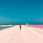 Las Coloradas & Rio Lagartos, Beautiful Eco Adventure from Tulum City - Practical Details and Value
