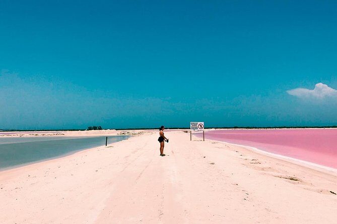 Las Coloradas & Rio Lagartos, Beautiful Eco Adventure from Tulum City - Practical Details and Value