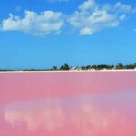 Las Coloradas & Río Lagartos with boat & Lunch from Mérida - Practical Tips for Travelers