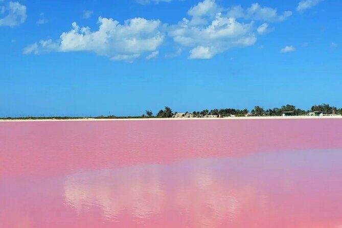 Las Coloradas & Río Lagartos with boat & Lunch from Mérida - Practical Tips for Travelers
