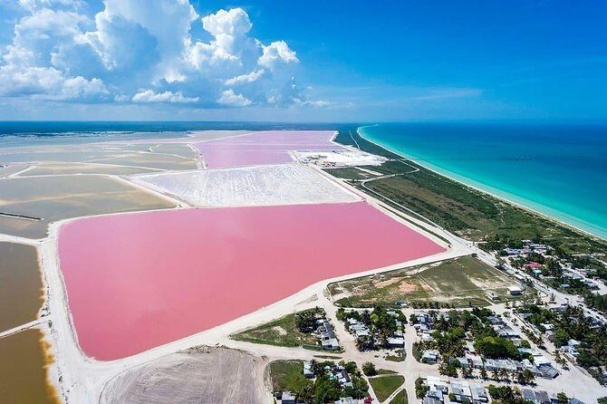 Las Coloradas Tour! Boat Ride, Lunch & Rio Lagartos from Cancun - Discovering Las Coloradas: The Pink Lakes