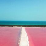 Las Coloradas Tour from Cancun and Playa del Carmen - Authentic Feedback and Real Experiences