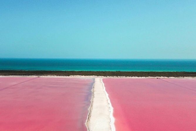 Las Coloradas Tour from Cancun and Playa del Carmen - Authentic Feedback and Real Experiences
