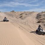 Las Vegas: Amazing Mojave Desert Nellis Dunes ATV Tour. - What Makes the Nellis Dunes ATV Tour Stand Out