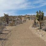 Las Vegas ATV Tours - What to Expect on Your ATV Adventure