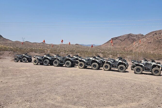 Las Vegas Desert Buggy & ATV Tour with Pickup - The Value of the Tour