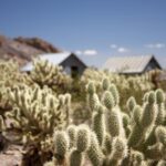 Las Vegas: Eldorado Canyon Gold Mine Tour - The Scenic Drive and Desert Landscape