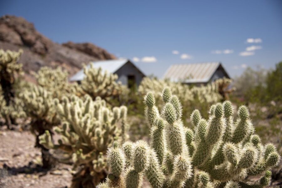 Las Vegas: Eldorado Canyon Gold Mine Tour - The Scenic Drive and Desert Landscape