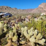 Las Vegas Eldorado Canyon & Nelson Ghost Town Adventure Tour - Authentic Perspectives from Travelers