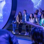 Las Vegas: Flyover in Las Vegas Experience Ticket - The Scenic Highlights