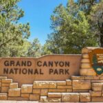 Las Vegas: Grand Canyon National Park South Rim Guided Tour - The Guides and the Experience