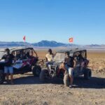 Las Vegas: Guided Las Vegas Desert Buggy Tour - Who Will Love This Tour?