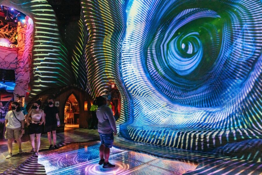Las Vegas: Meow Wolf - Omega Mart VIP Ticket - The Value and Cost