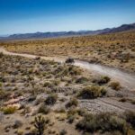 Las Vegas Pioneer Saloon | SXS Off Road Tour With Lunch! - Why This Tour Offers Value and Authenticity