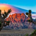 Las Vegas: Private Red Rock Canyon Guided Driving Adventure - What to Expect During the Tour