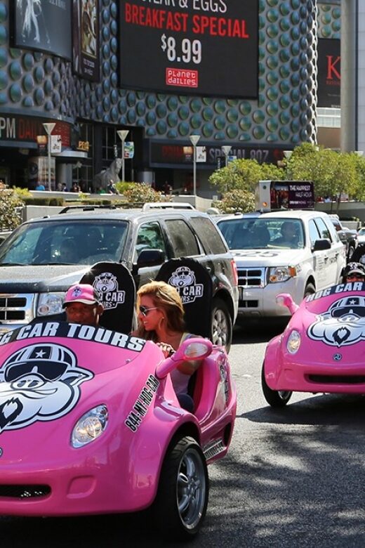 Las Vegas Strip Tour & Food - Who Will Love This Tour?