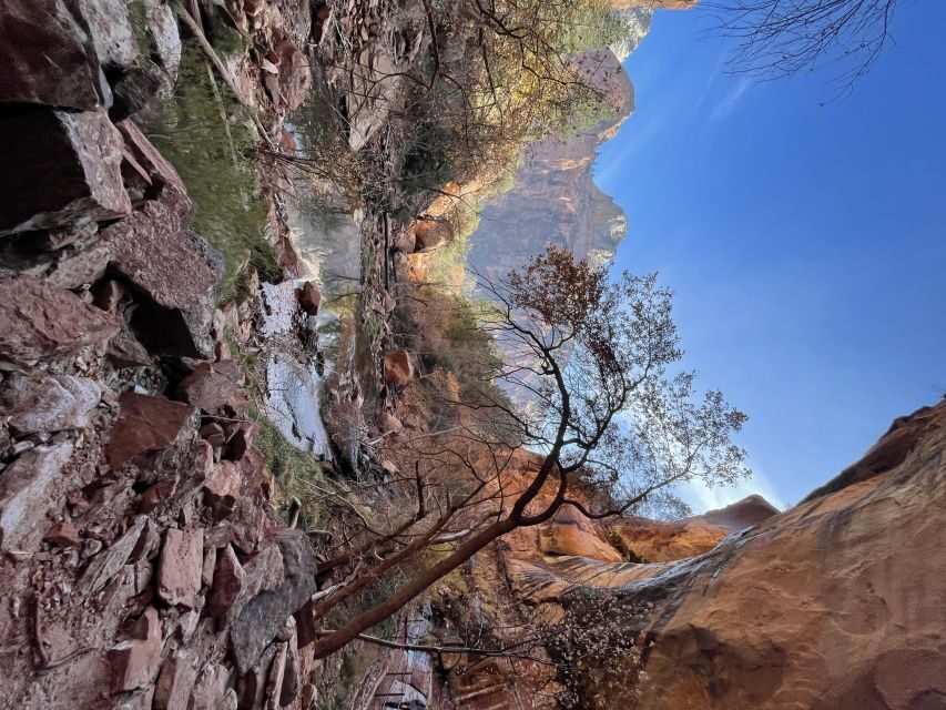 Las Vegas: VIP Guided Photography & Hiking Tour of Zion NP - What’s Included and What to Consider