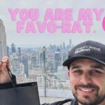 Late Night Rat Tours - Itinerary Breakdown: What Can You Expect?