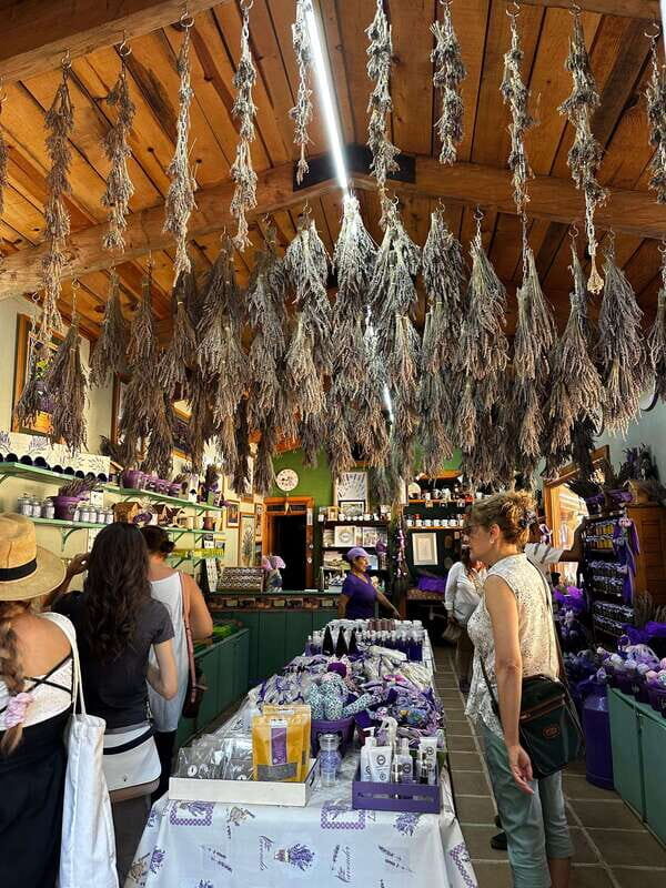 Lavender Ranch, Chautla and Val`Quirico. - An In-Depth Look at the Tours Highlights