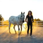 Leadership & Mindfulness Retreat with Horses - Individual & Group - The Experience in Action: Highlights and Insights