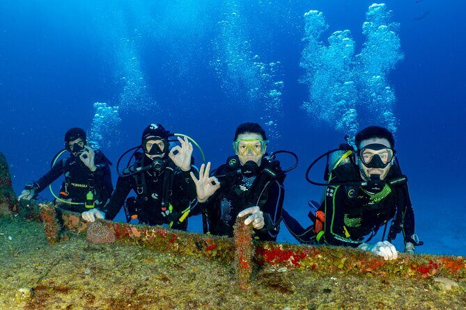 Learn diving with the Open Water course PADI ! - The Value of the Course