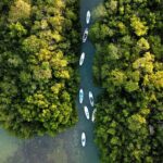Learn Paddle Board and Explore the Mangroves of Progreso - The Sum Up