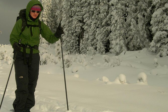 Learn to Cross Country Ski in Lake Louise - What Makes This Tour Stand Out?