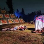Legendary Day of the Dead Night Show in Xochimilco - Practical Aspects and Value