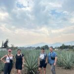 Let's eat at the Tlacolula Market on Sunday and drink Mezcal. - Who Would Love This Tour?