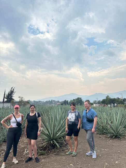 Let's eat at the Tlacolula Market on Sunday and drink Mezcal. - Who Would Love This Tour?