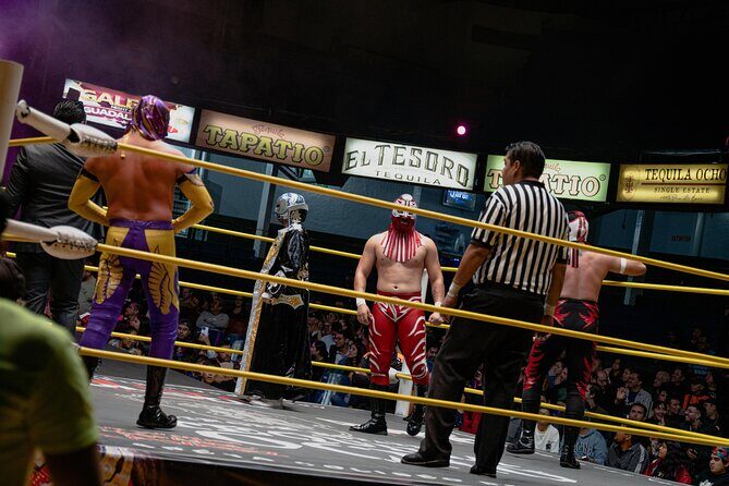 Lets Go to the Wrestlings! - Key Points
