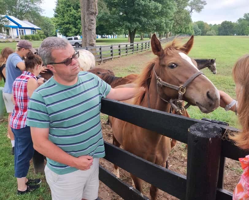 Lexington: Thoroughbred Horse Farm Tour and Scenic Bluegrass - The Itinerary: What to Expect